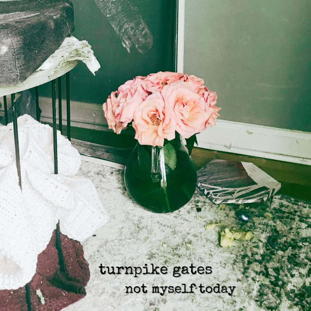 Turnpike Gates - Pirate!Pirate!